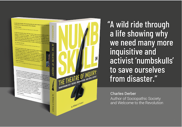 Introducing Bill Torbert's New Book Numbskull - Global Leadership ...